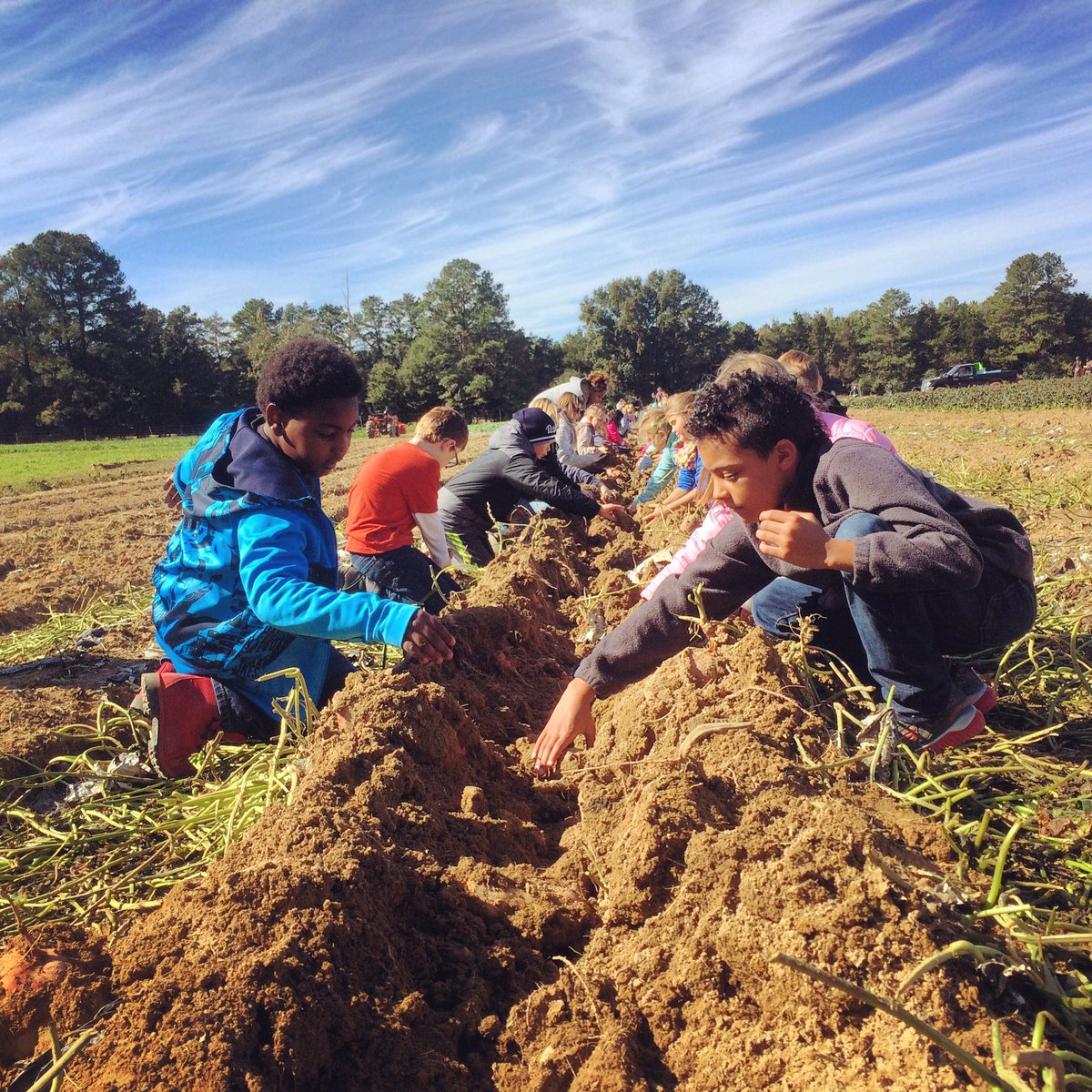 Weekend on Shalom Farms – Trail Life RVA